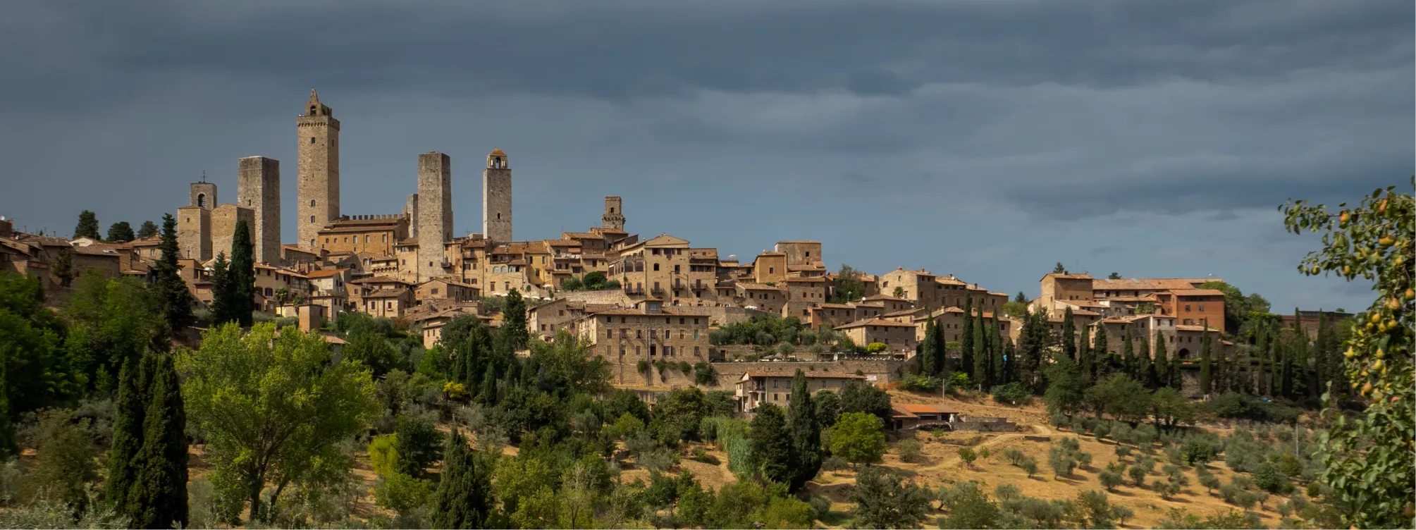 Majestic Creatures of the African Savanna – Creacy